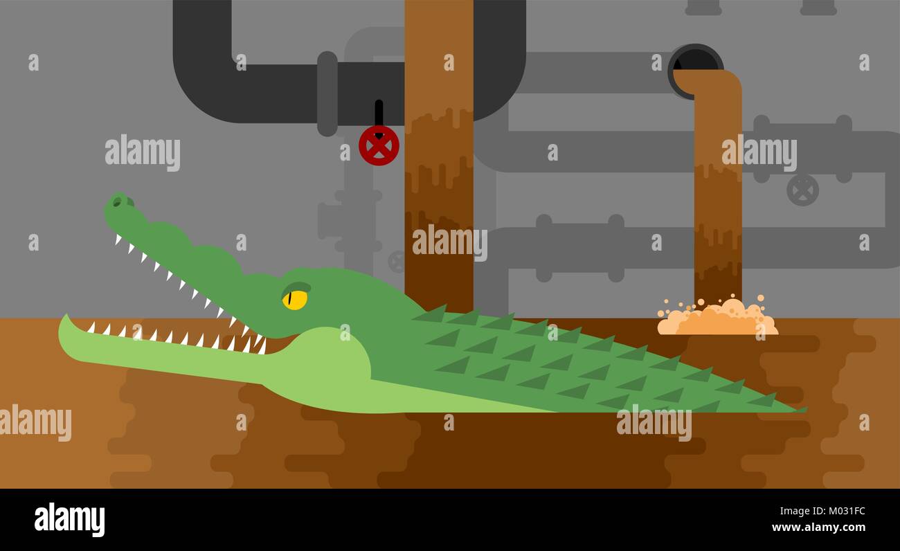 Alligator sewerage. Crocodile in sewer. Predator animal. City legend ...