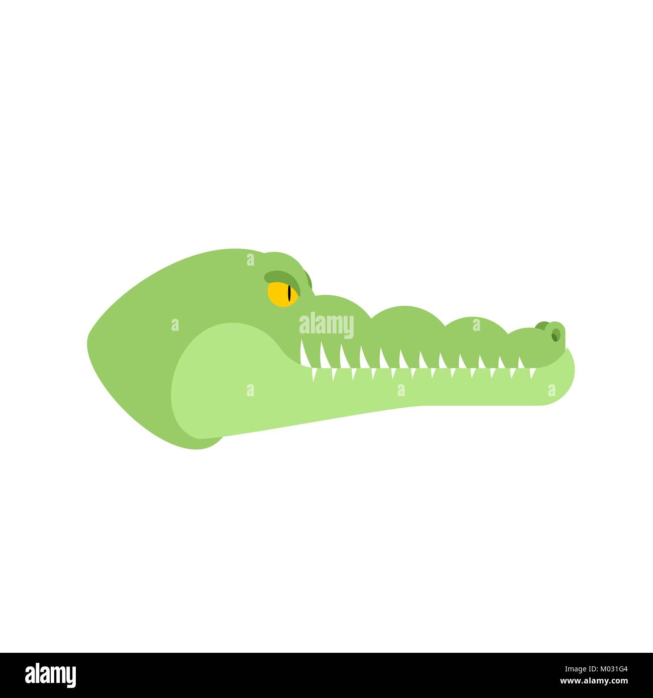 Crocodile Alligator Cartoon Character Head High Resolution Stock ...