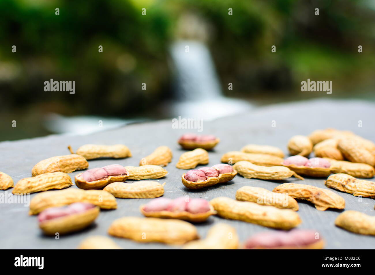 Opened peanuts isolated on the rock in the nature Stock Photo - Alamy