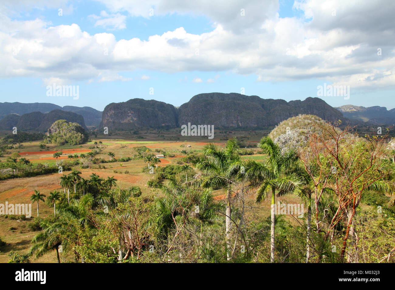 Cuba - famous mogotes karstic landscape in Vinales National Park ...