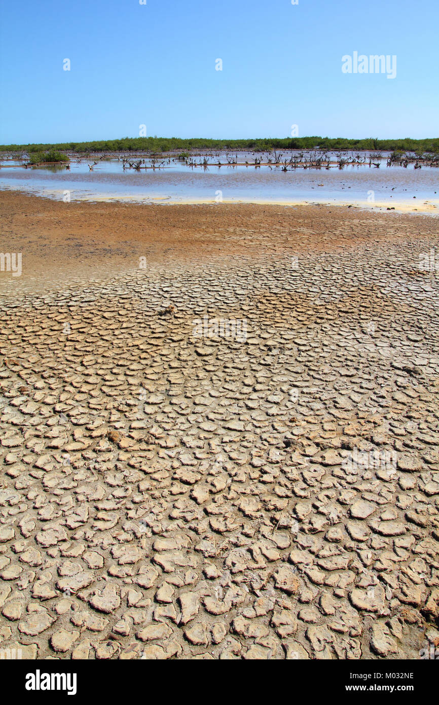Cuba - Ancon peninsula. Dry soil and mangrove wetland area Stock Photo ...