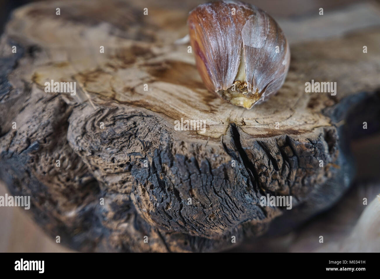 Old garlic hi-res stock photography and images - Alamy
