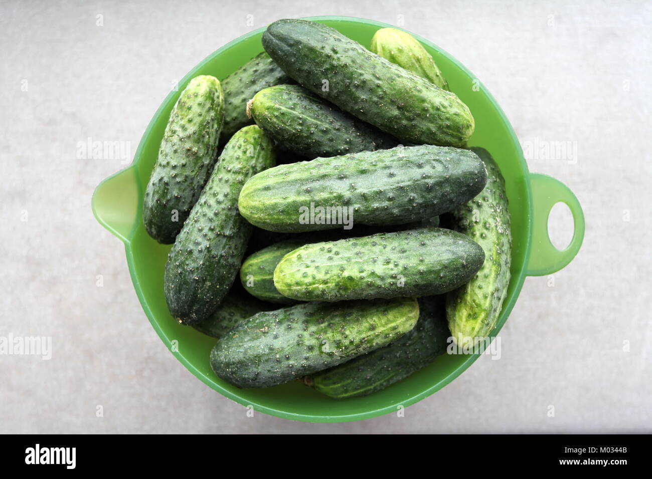 Spiny cucumber hi-res stock photography and images - Alamy