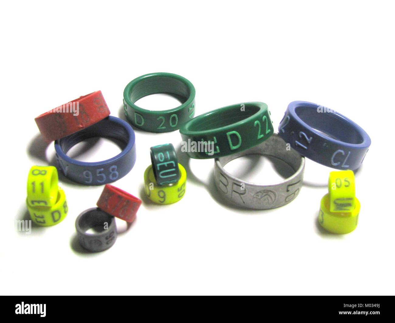 The Bundesringe (National Rings) of the BDRG (Bund Deutscher Ringer ...