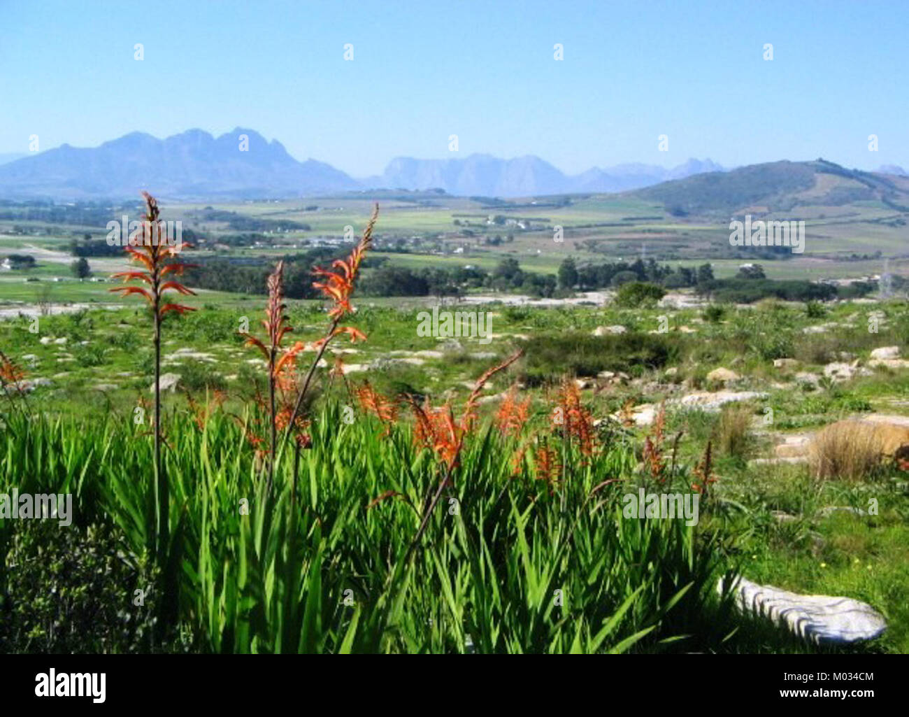 The Bracken Nature Reserve, located near Cape Town, South Africa, is a ...