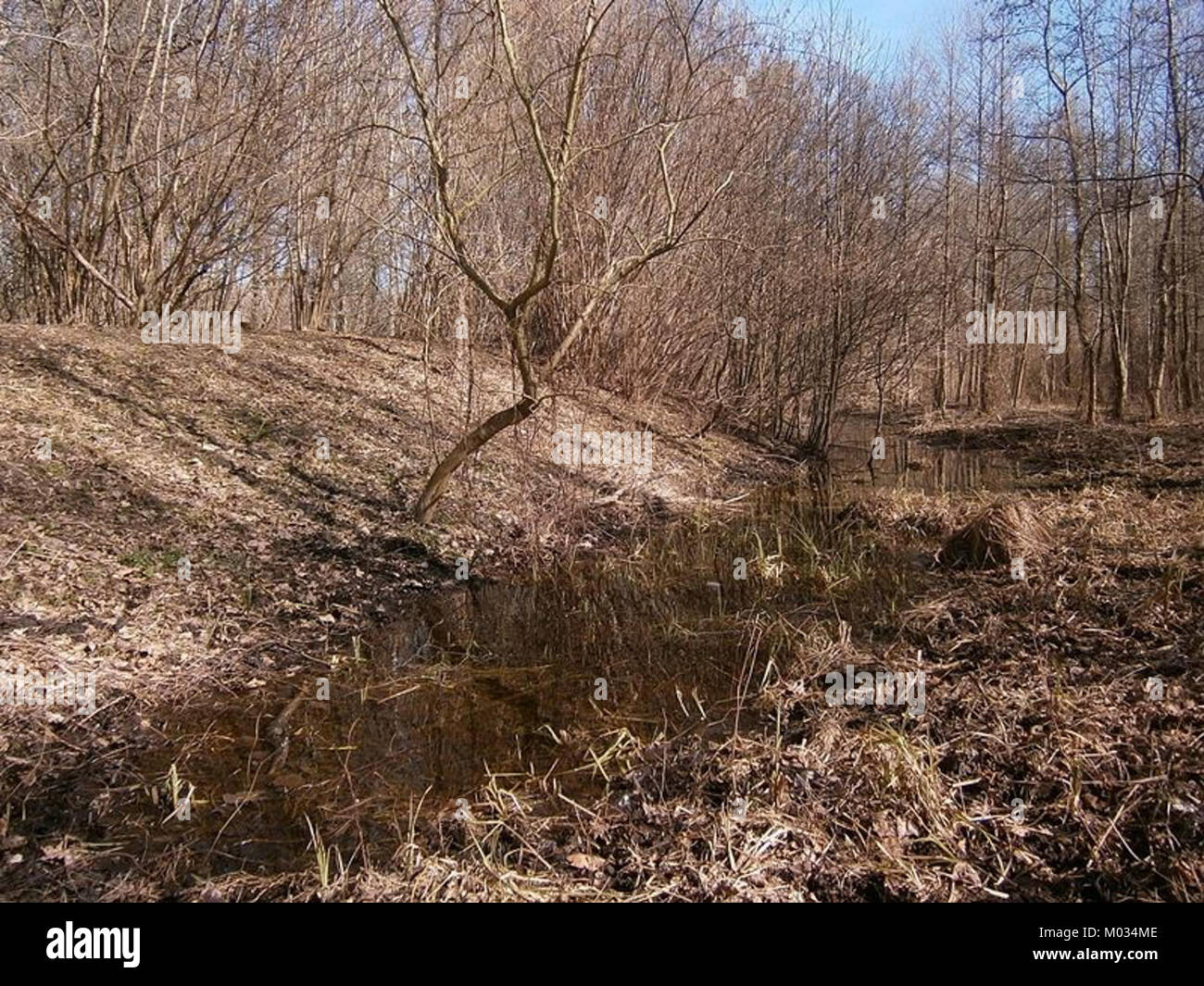 Burgwall Ravensburg is the site of a medieval fortification located in ...