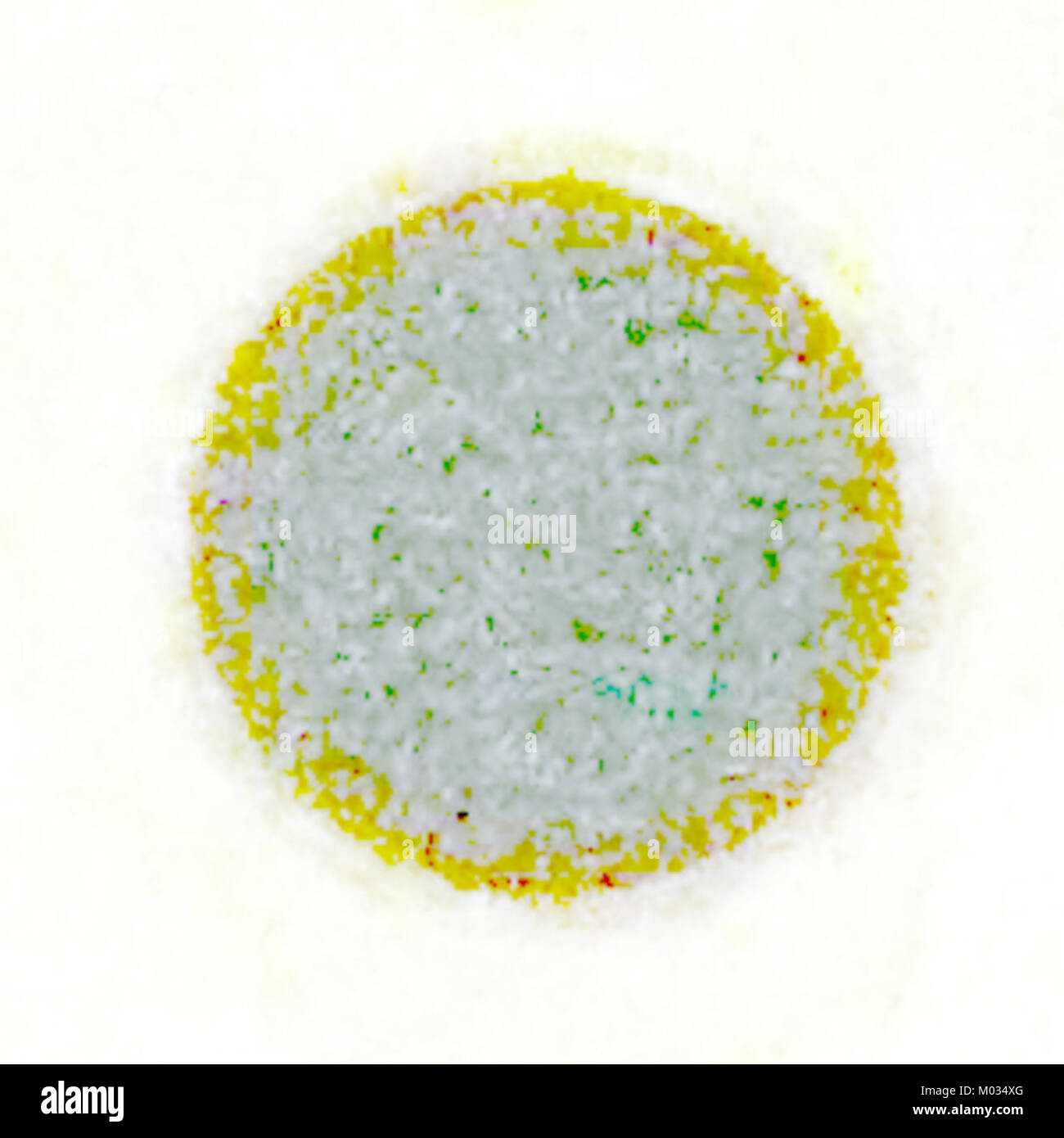 This image depicts a bridge under construction, captured in raw ISO ...