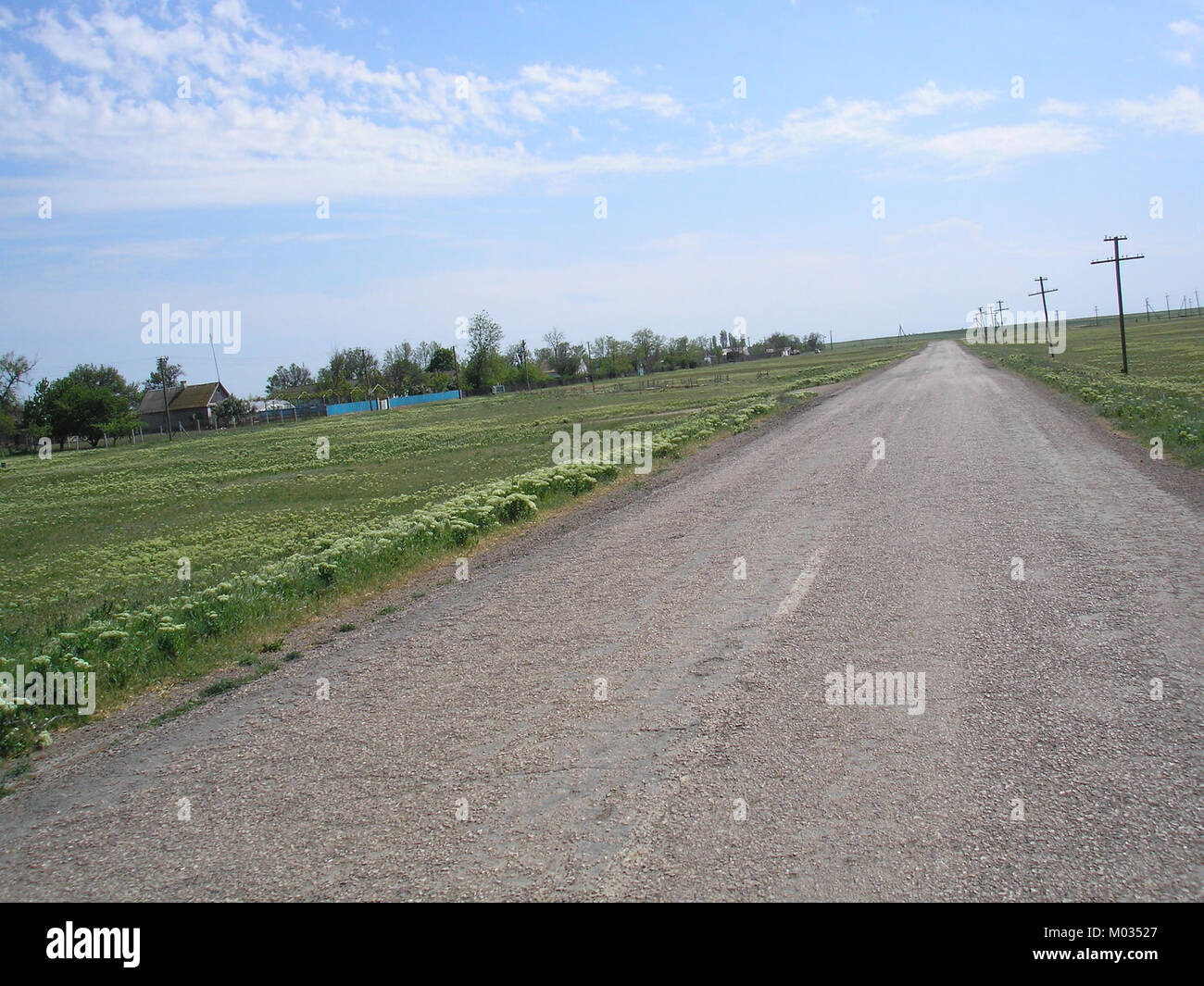 Borodino in Dzhankoy Raion refers to a specific locality, potentially ...