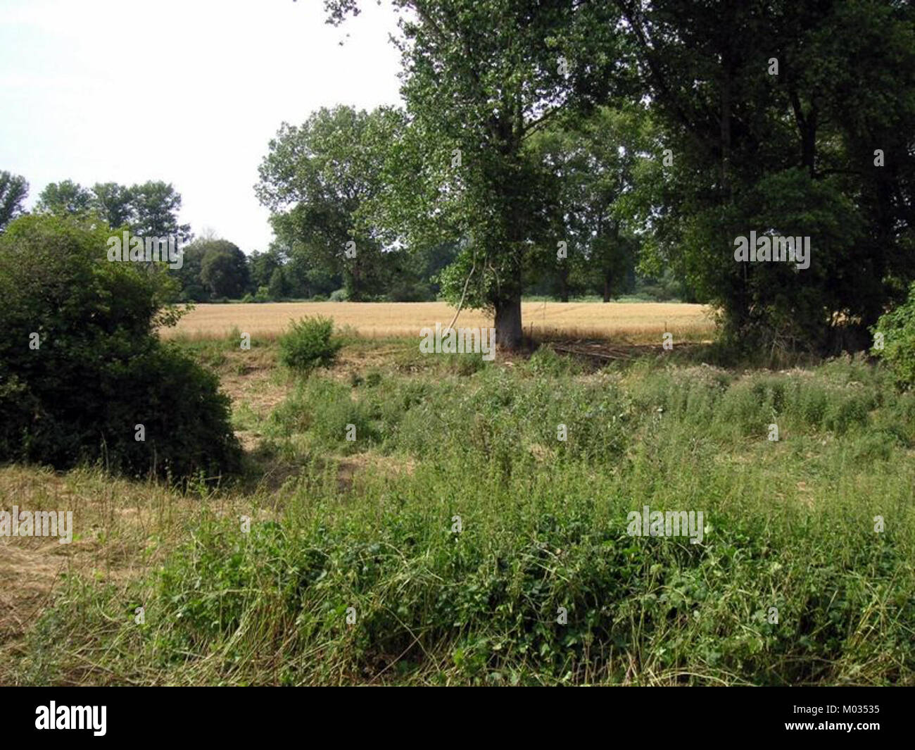 Burgwall Malchin is an archaeological site located in Malchin, Germany ...