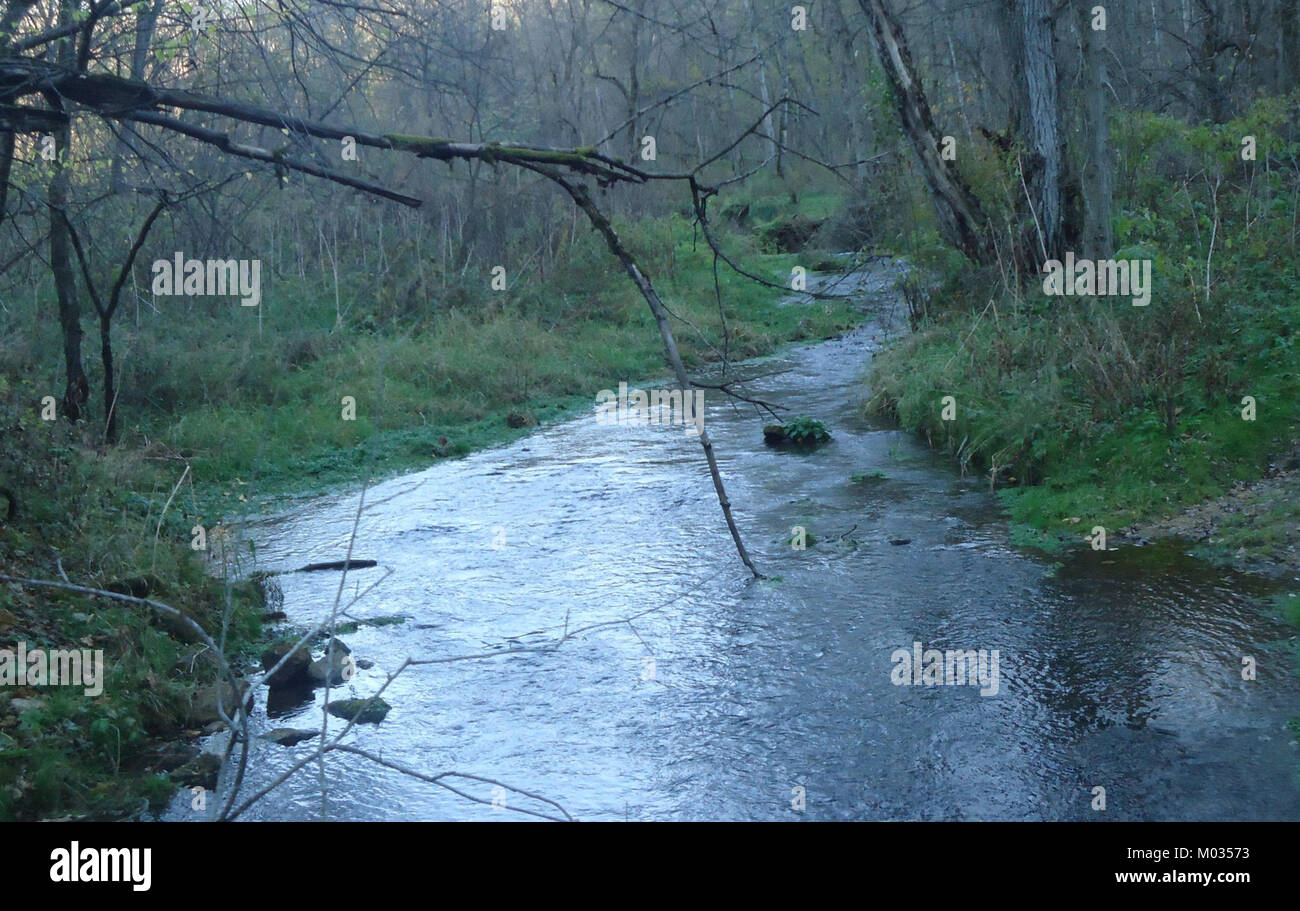 Branchoverhangingbrook hi-res stock photography and images - Alamy