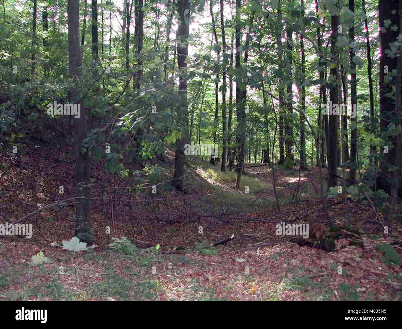 Burgwall Sirksfelde is an archaeological site in Germany known for its ...