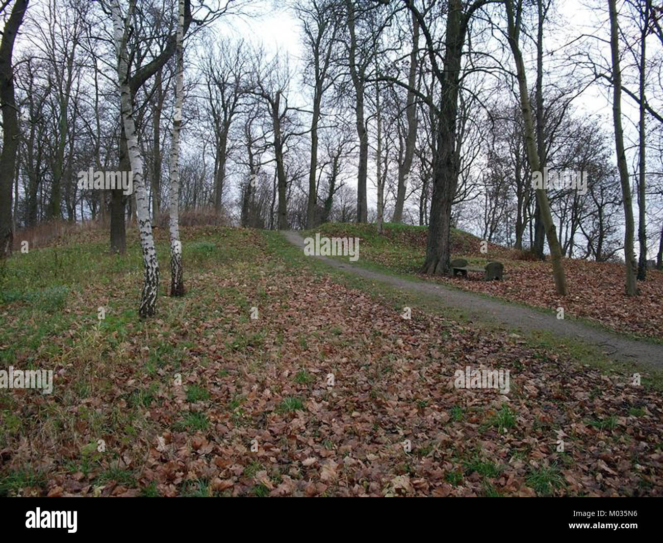 Burgwall in Altentreptow, Germany, is a historical fortification or ...