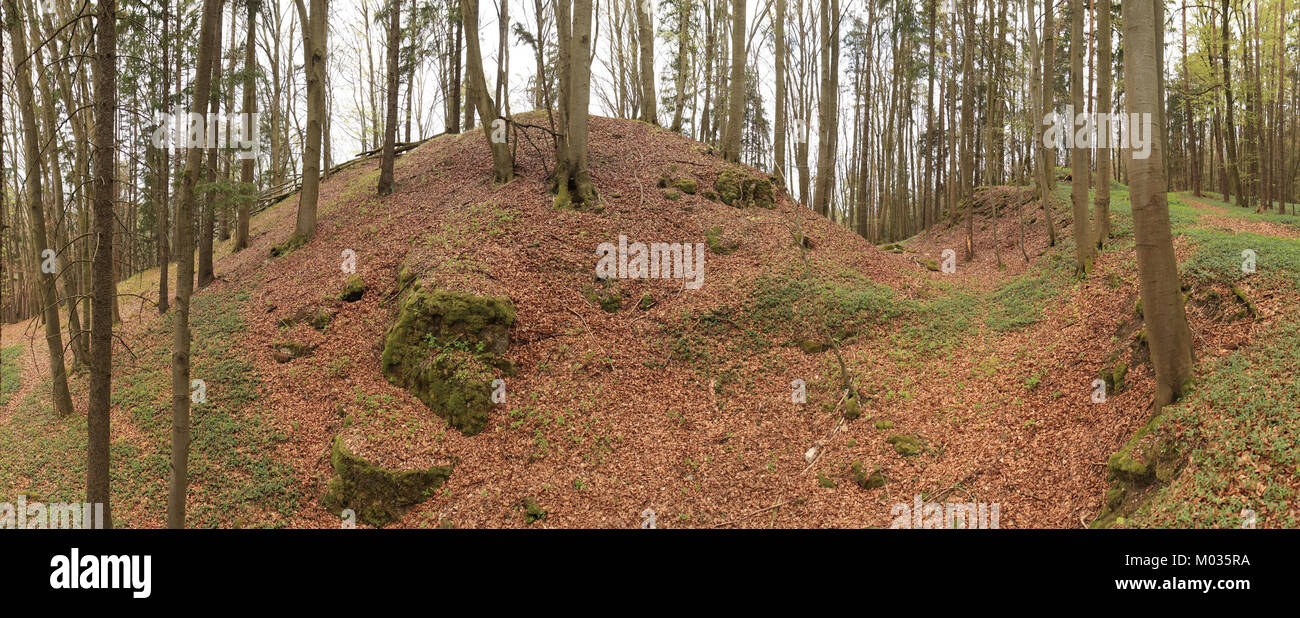 Burgstall Scharfenberg is the site of a medieval castle ruin located in ...