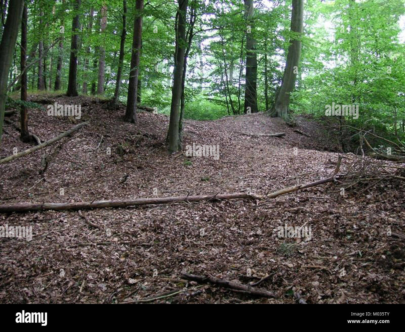 A historical site or structure identified as Burgwall Wittenborn ...