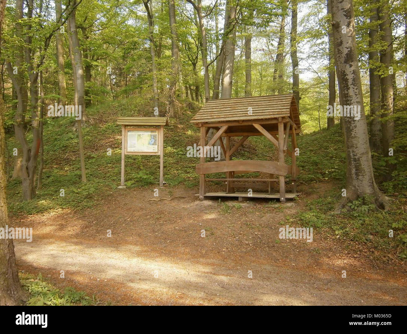 Burgwall Wildberg near Kastorfer See is a notable historical site in ...