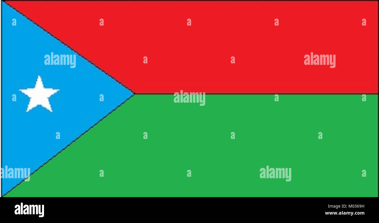 The flag of Brazil, commonly referred to as the BRA flag, consists of a ...