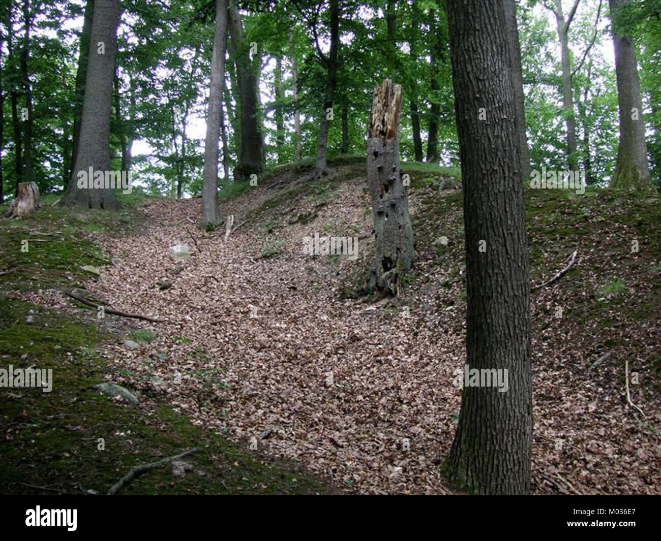 Burgwall in Wittenborn, Vorwall, is a historical site dating back to ...