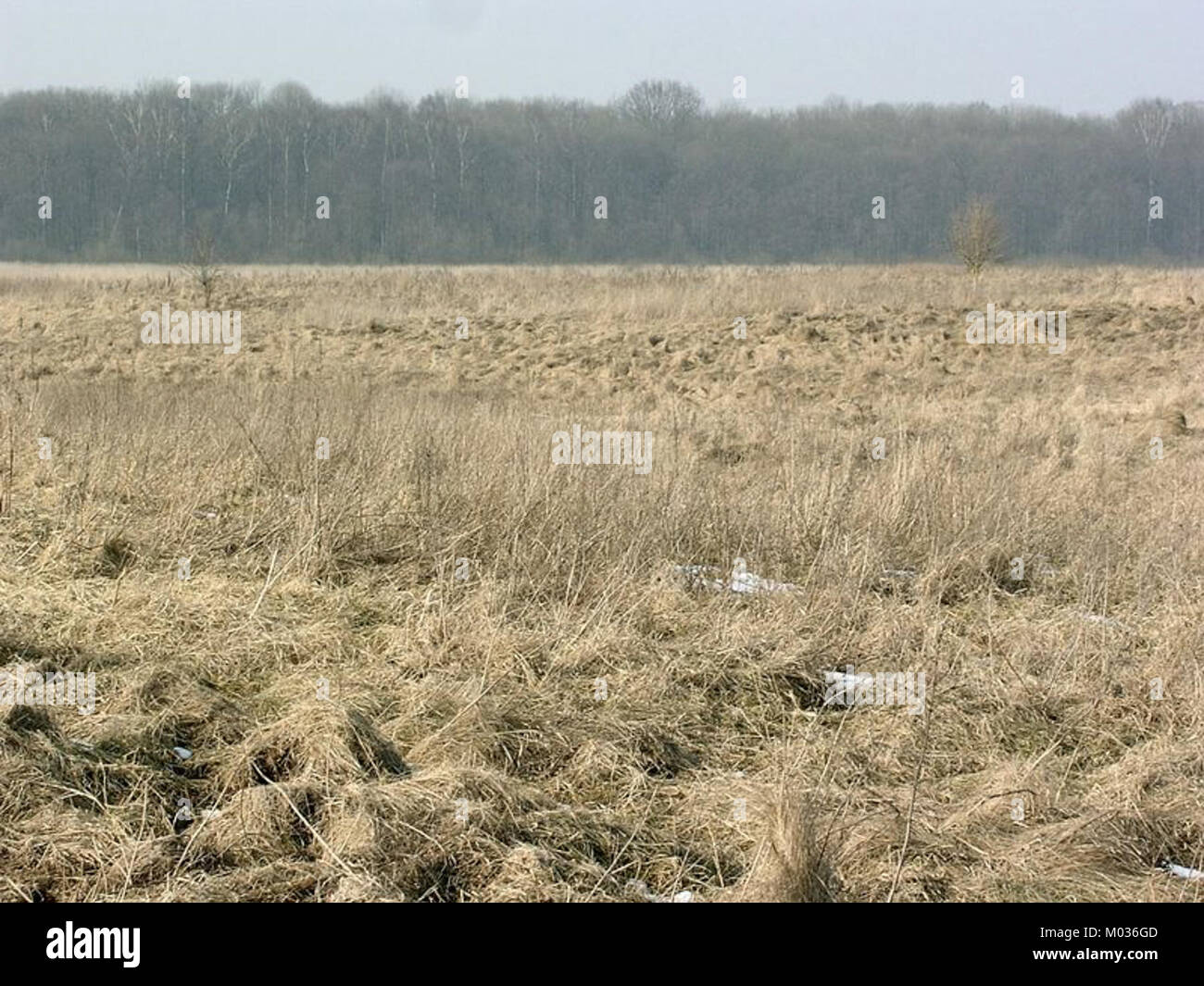 Burgwall Moelln is a historic site in Germany, known for its ...