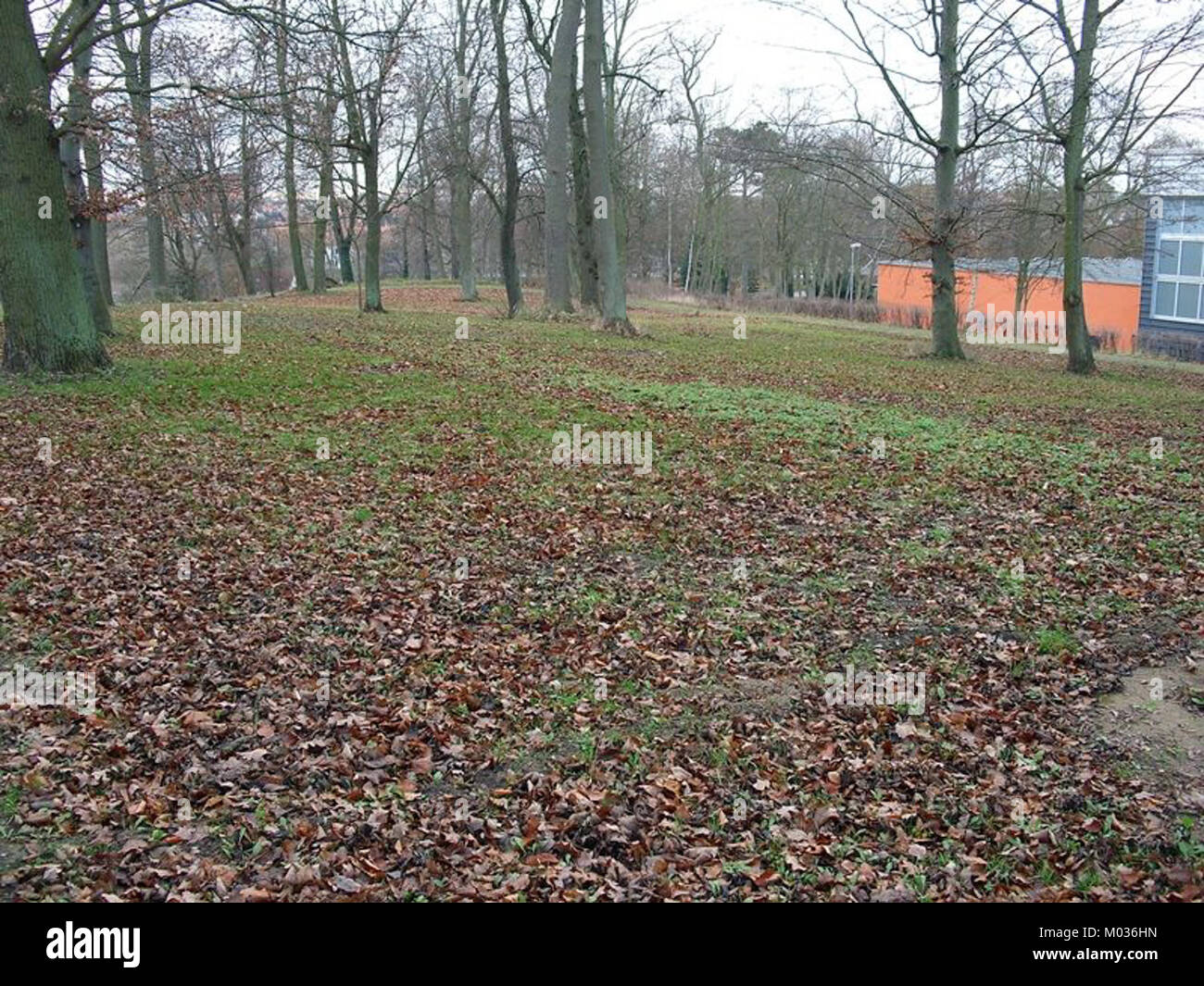 The Burgwall in Altentreptow, Germany, is a historic earthwork ...