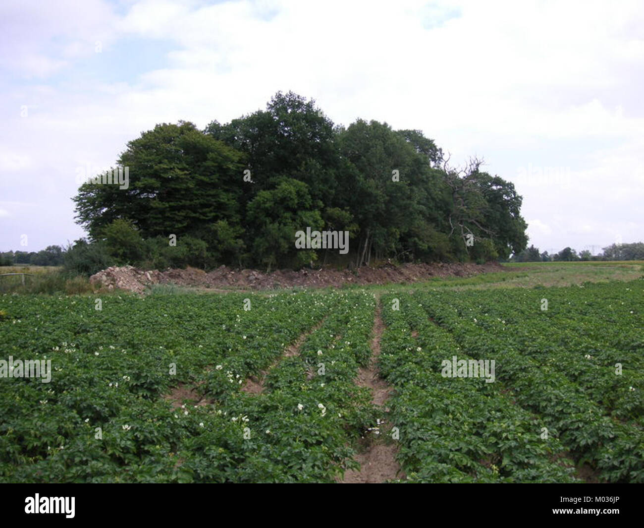 Burgwall Demmin Vorwerk refers to an ancient fortified structure ...