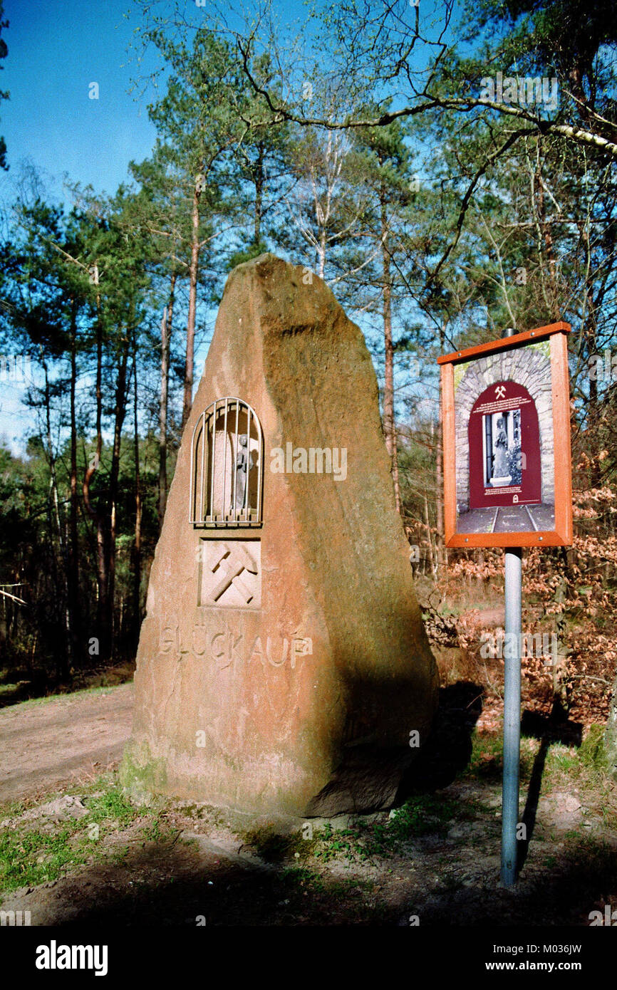 An image of the Buchholzer Forst, a forest located in Germany ...