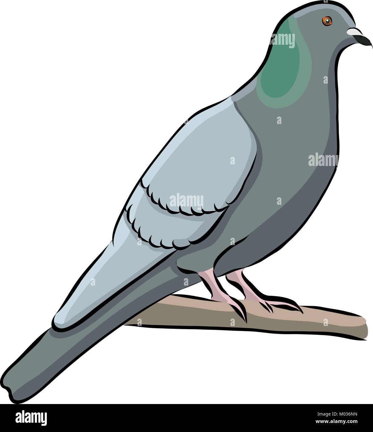 Grey dove Stock Vector Images - Alamy