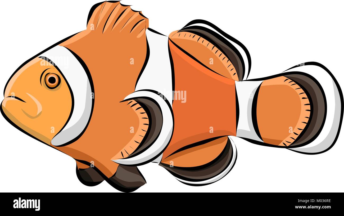 Hand drawn clown fish, vector Stock Vector Image & Art - Alamy