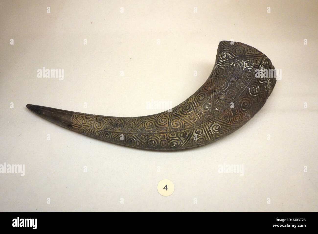This buffalo horn, used for drinking palm wine by the Lulua people, is ...