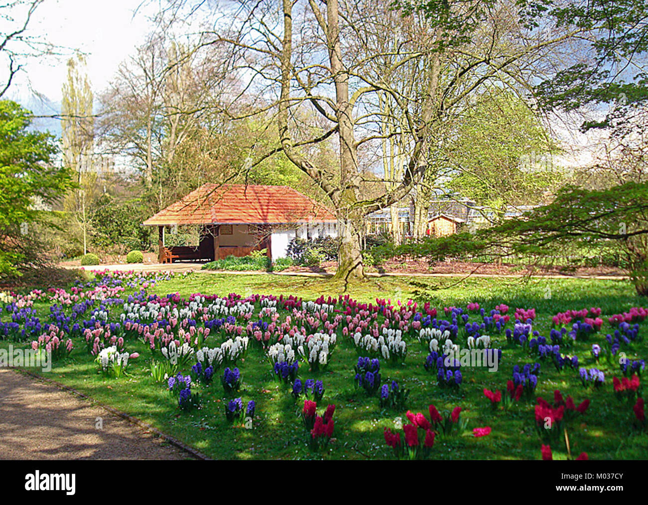 Guetersloh hi-res stock photography and images - Alamy