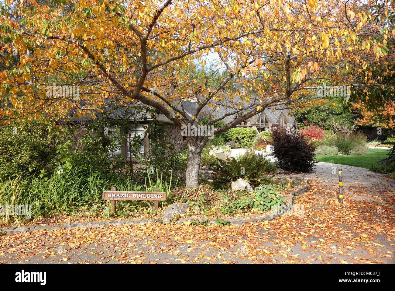 The Brazilian Room, located in Tilden Regional Park in Berkeley ...