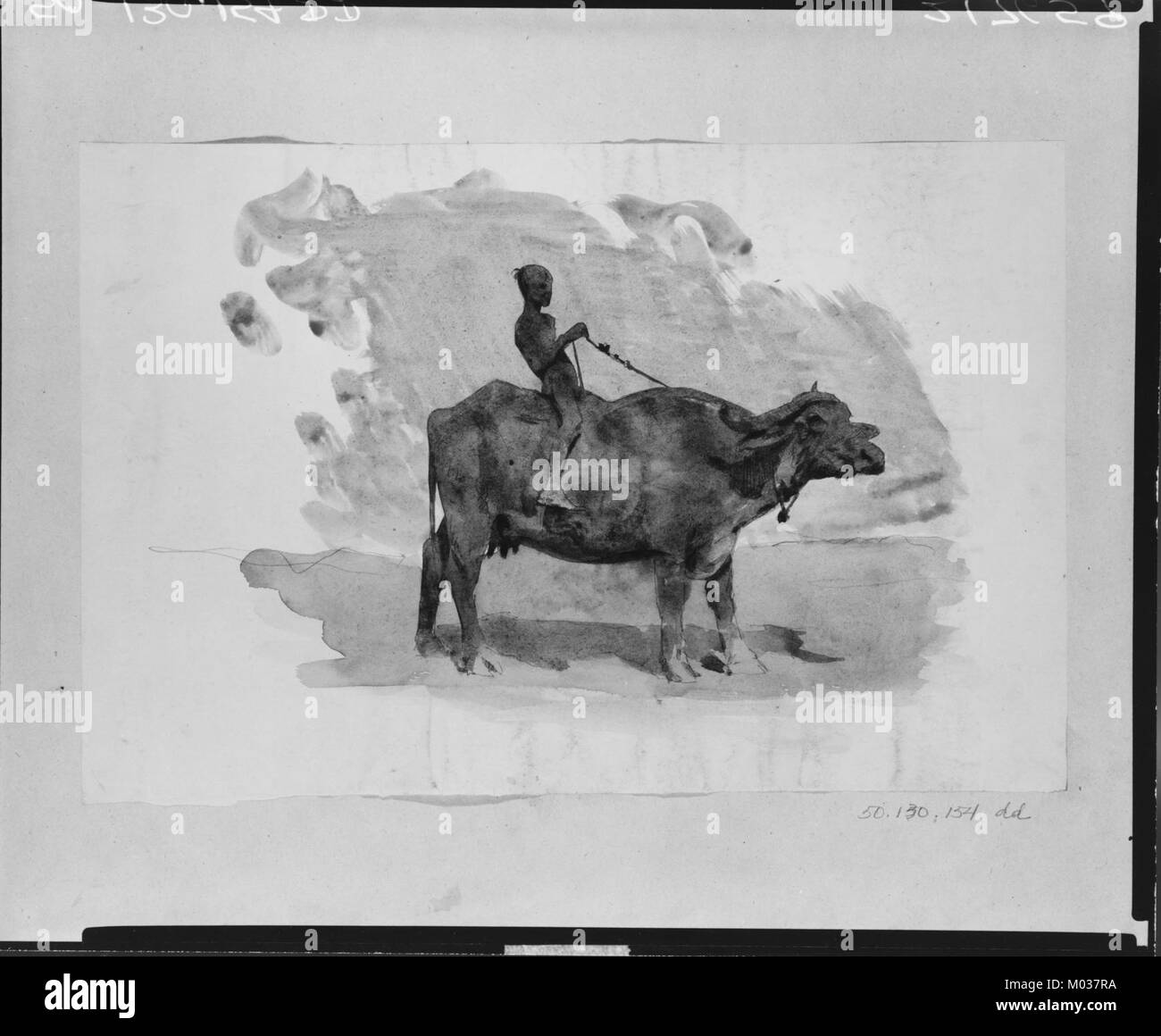 Boy on water buffalo hi-res stock photography and images - Alamy