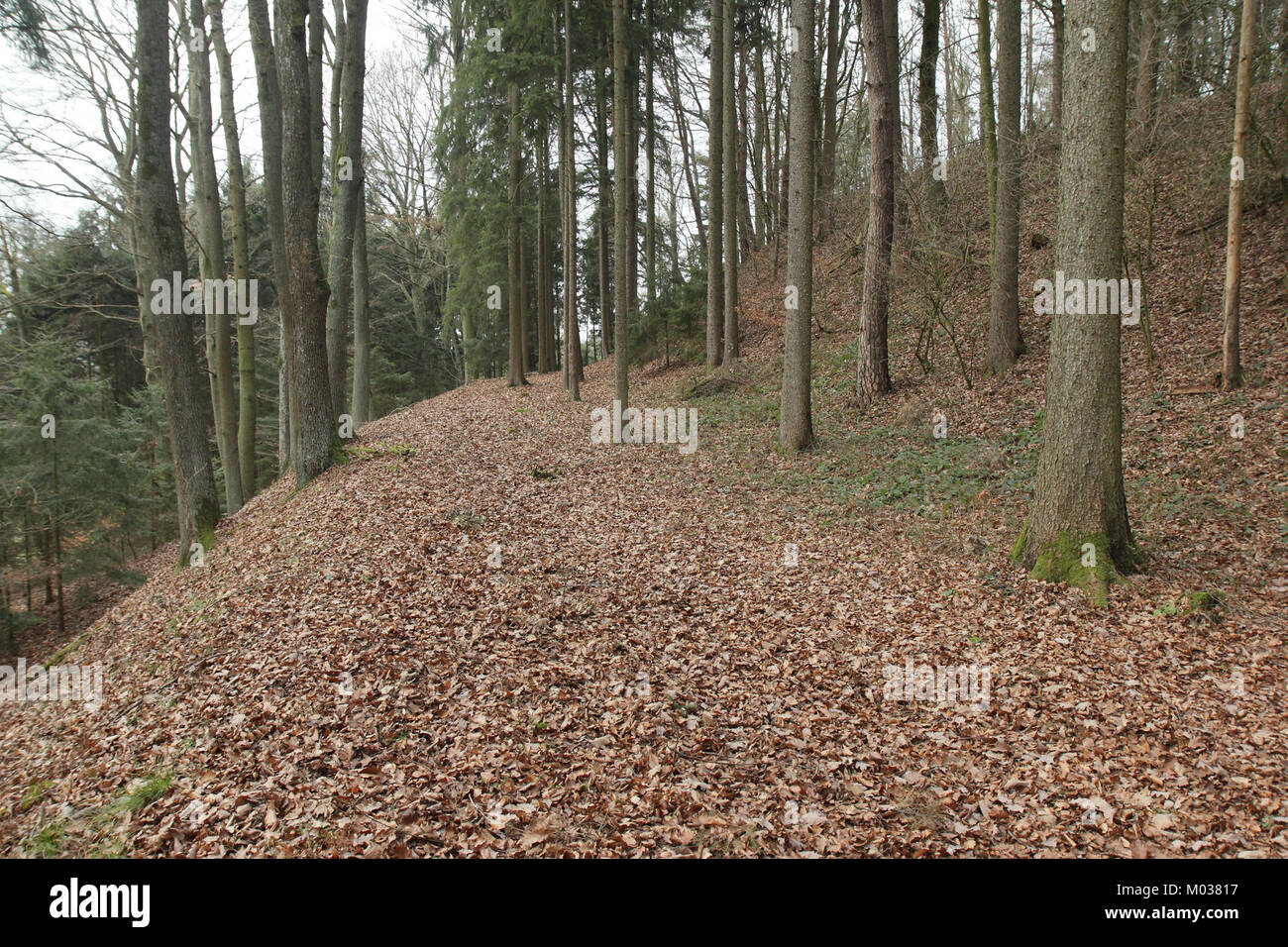 Burgstall Stauf is a historical site in Germany, known for the ruins of ...