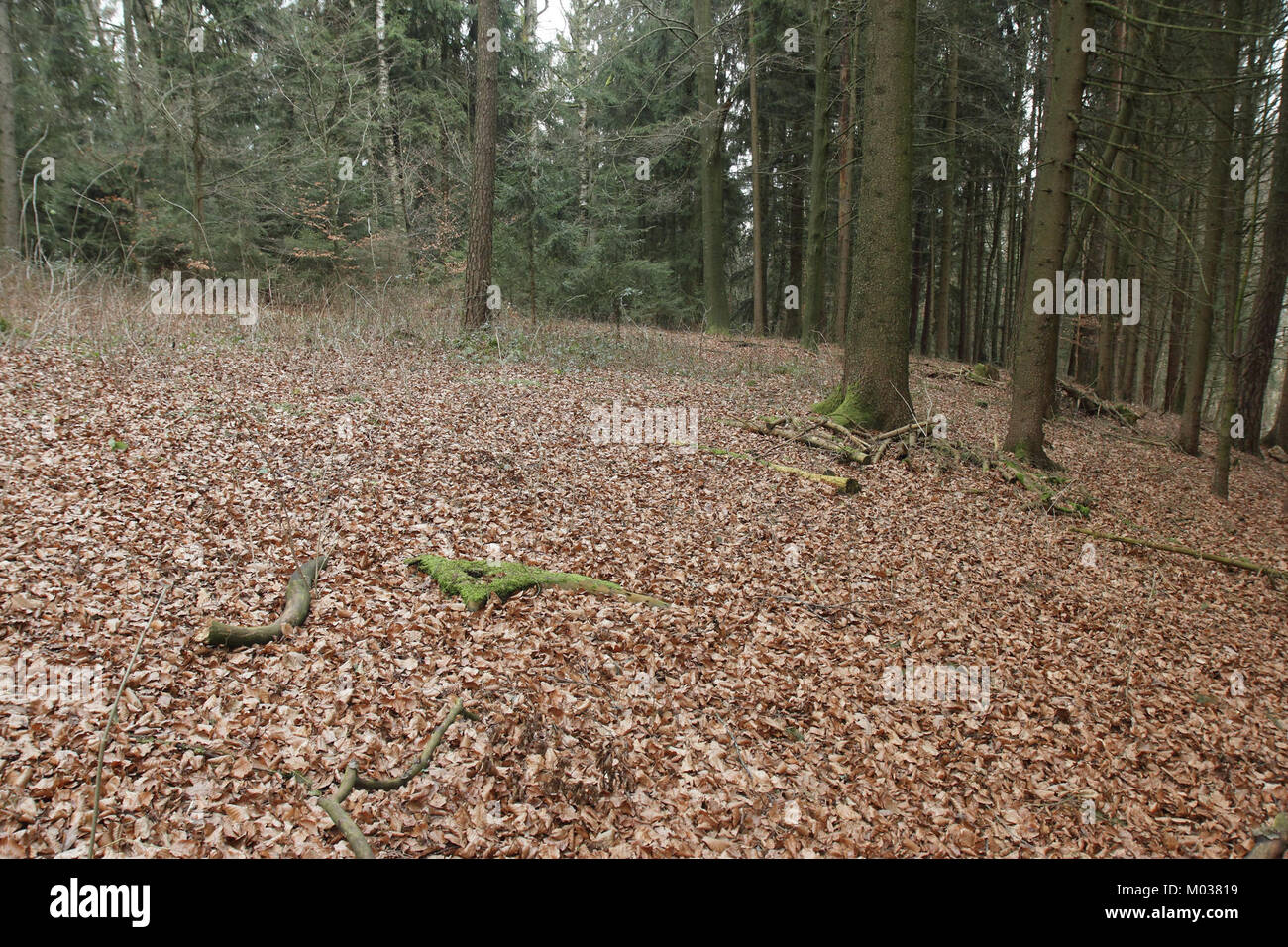 Burgstall Stauf is a medieval castle ruin located in Germany. It is ...