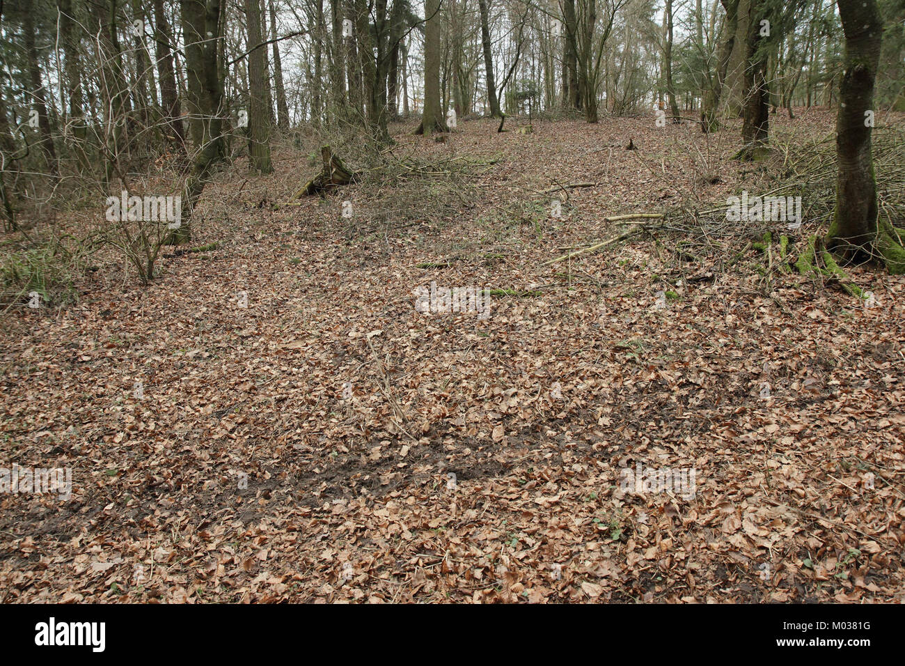 Burgstall Stauf refers to a historic ruin in Germany, located near the ...