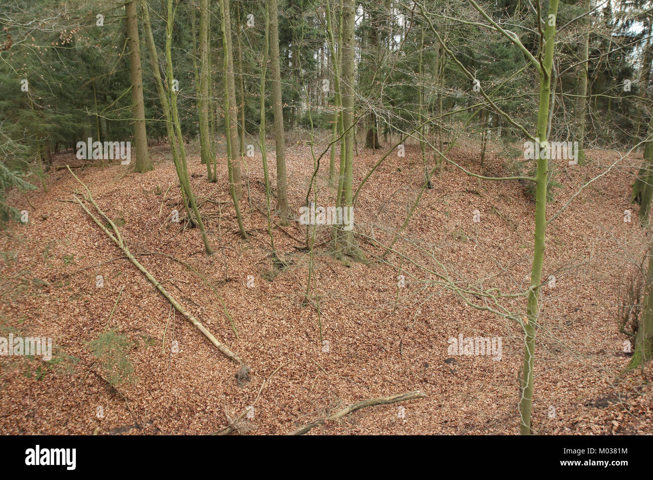 Burgstall Stauf is the site of a medieval castle in Germany, known for ...