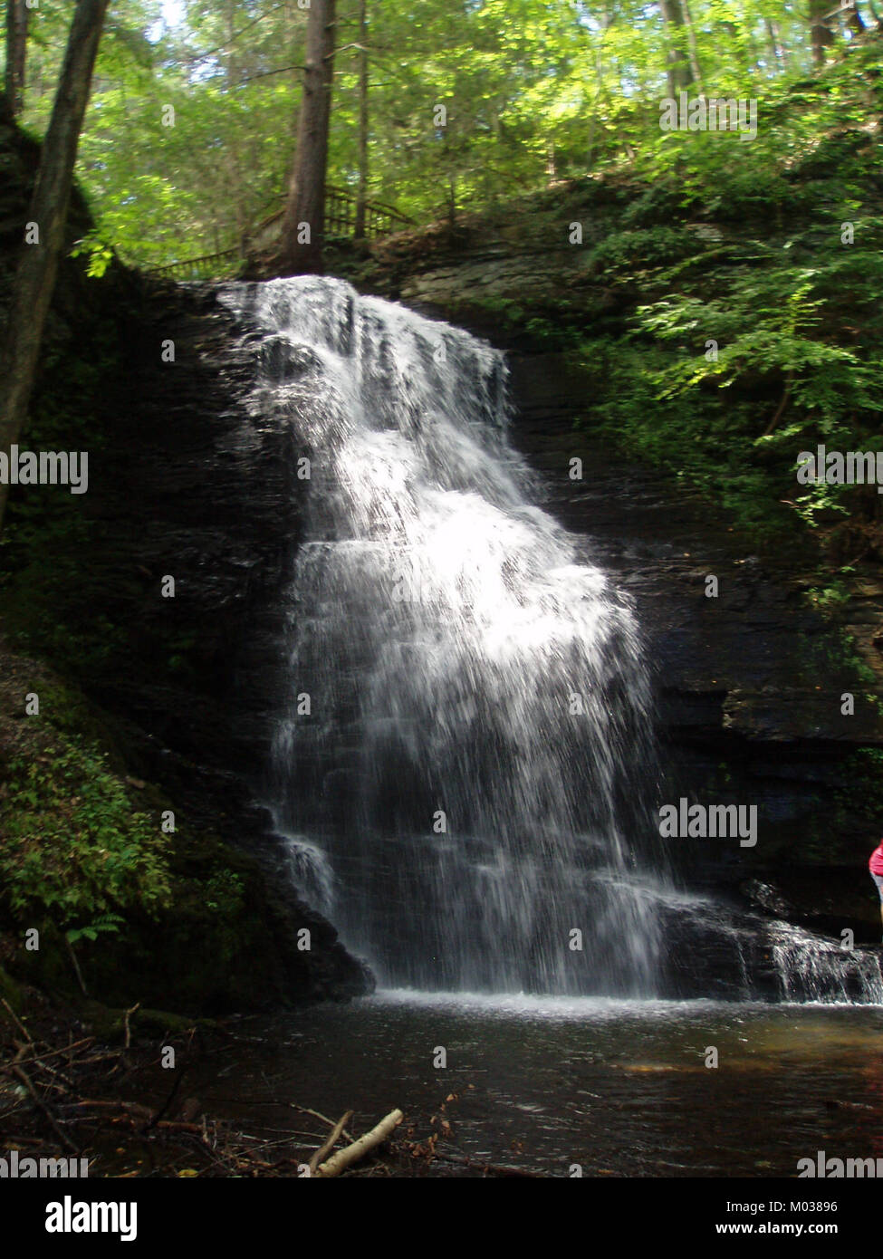 Bushkill Falls in Pennsylvania, known as 'The Niagara of Pennsylvania ...