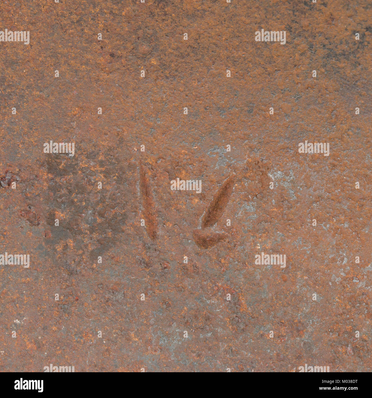 This Brigandine Plate, held in the collection of the Metropolitan ...