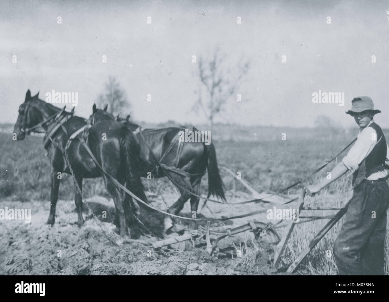 Farmer behind horses as they pull a plow through a field Stock Photo ...