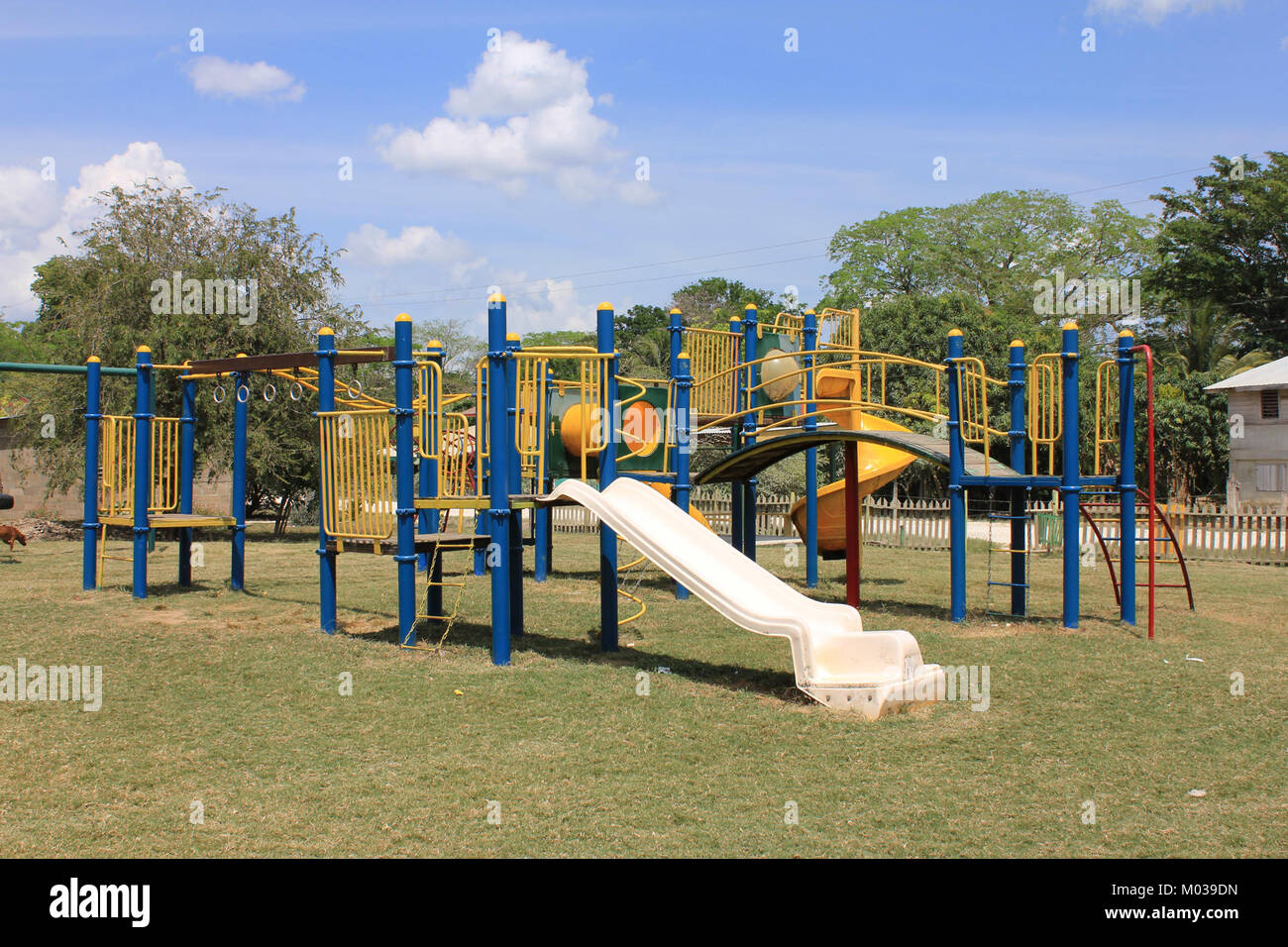 Bullet tree falls hi-res stock photography and images - Alamy