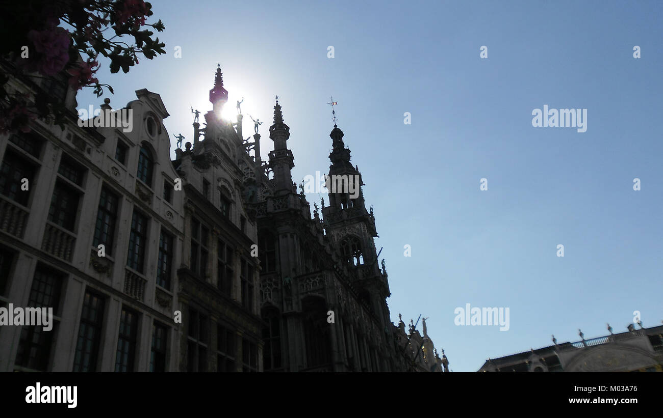 Brussel, also known as Brussels, is the capital of Belgium and the seat ...