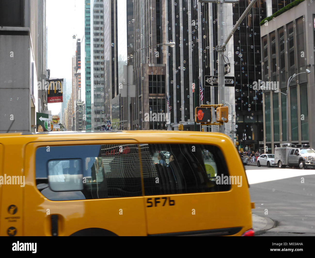This image features a collection of bubbles, each captured in their ...
