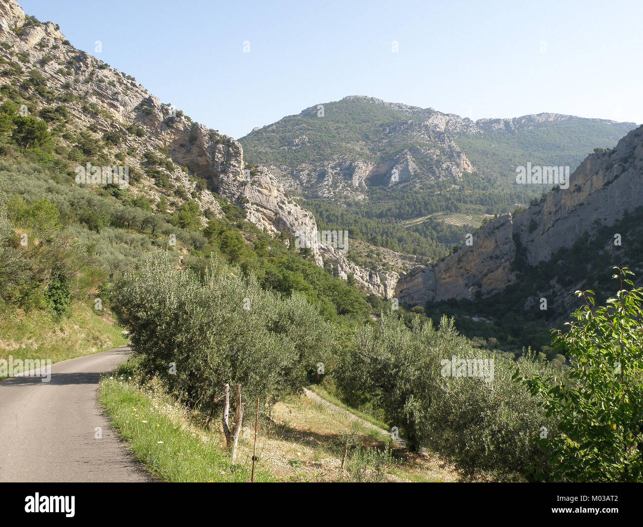 Buis-les-Baronnies is a commune in the Provence-Alpes-Côte d'Azur ...