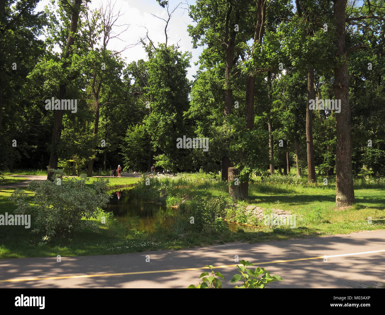 Bucha Park in Ukraine is a public park that serves as a recreational ...