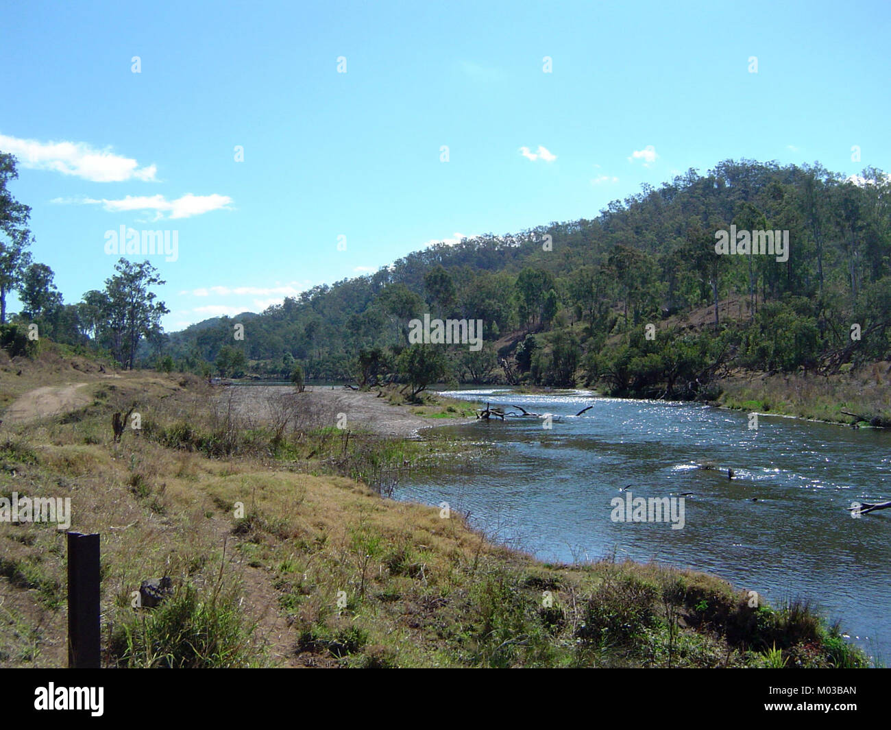 The Brisbane River, upstream from Savages Crossing, is a waterway ...
