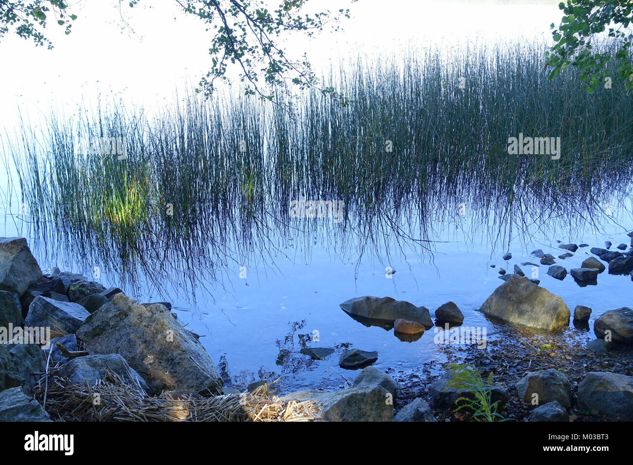 Brunnsviken is a lake in Stockholm, Sweden, surrounded by parks and ...
