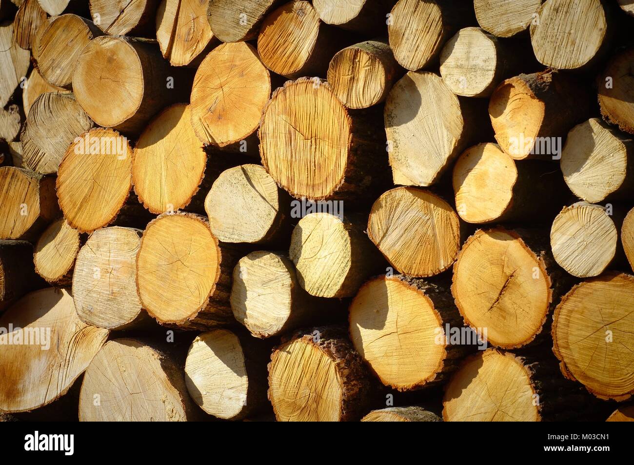 Log heap hi-res stock photography and images - Alamy