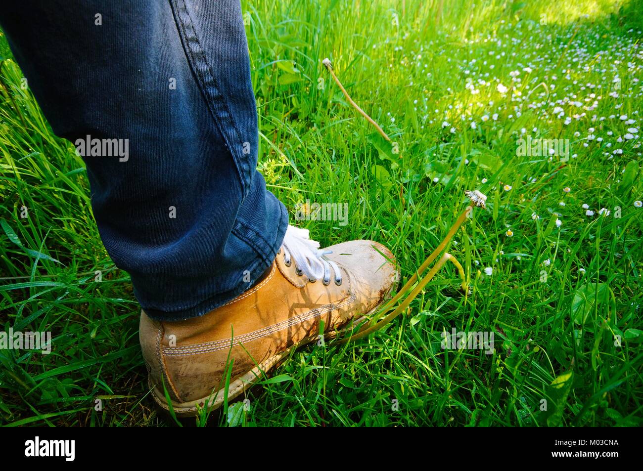 Step into the nature Stock Photo - Alamy