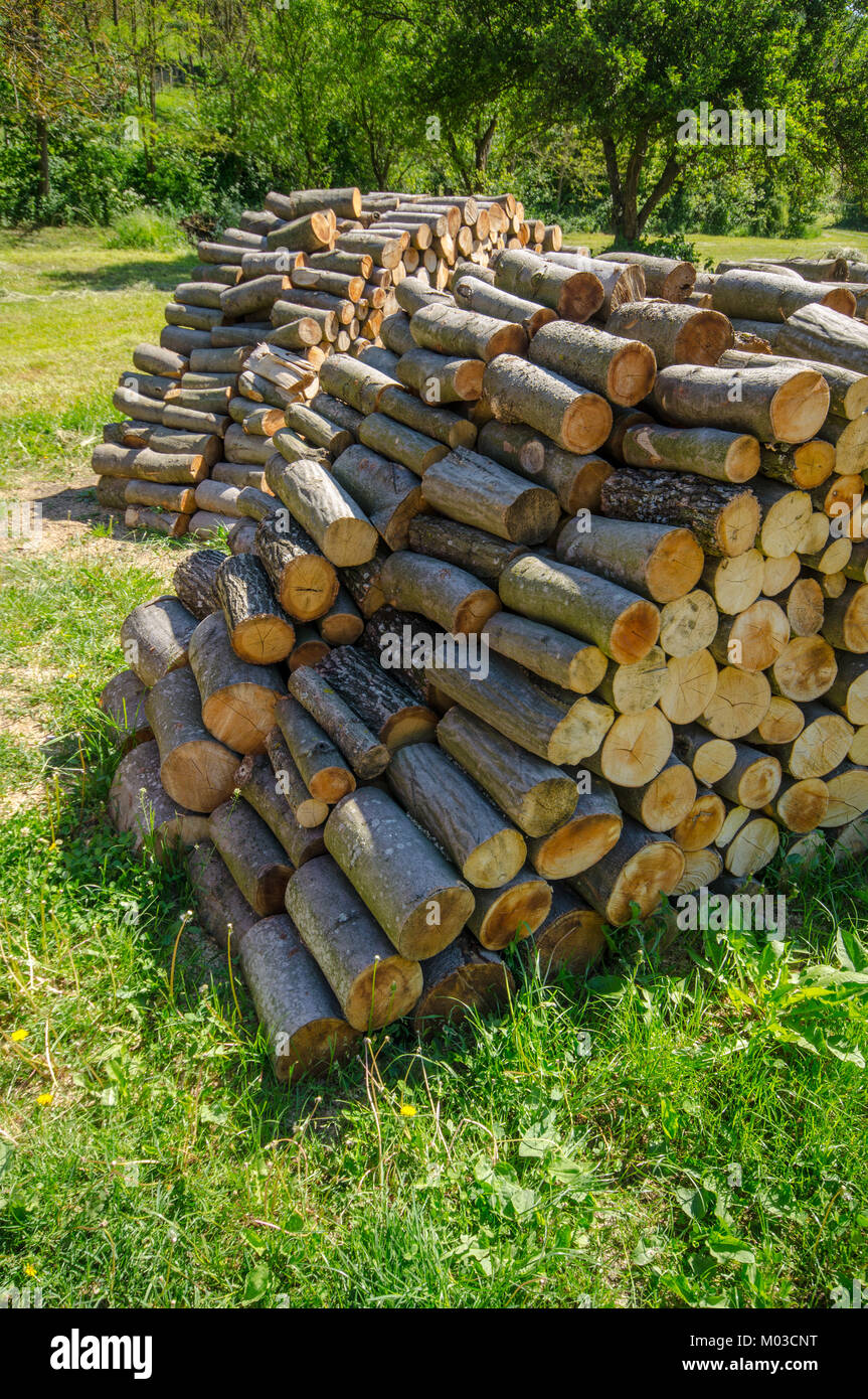 Log heap hi-res stock photography and images - Alamy