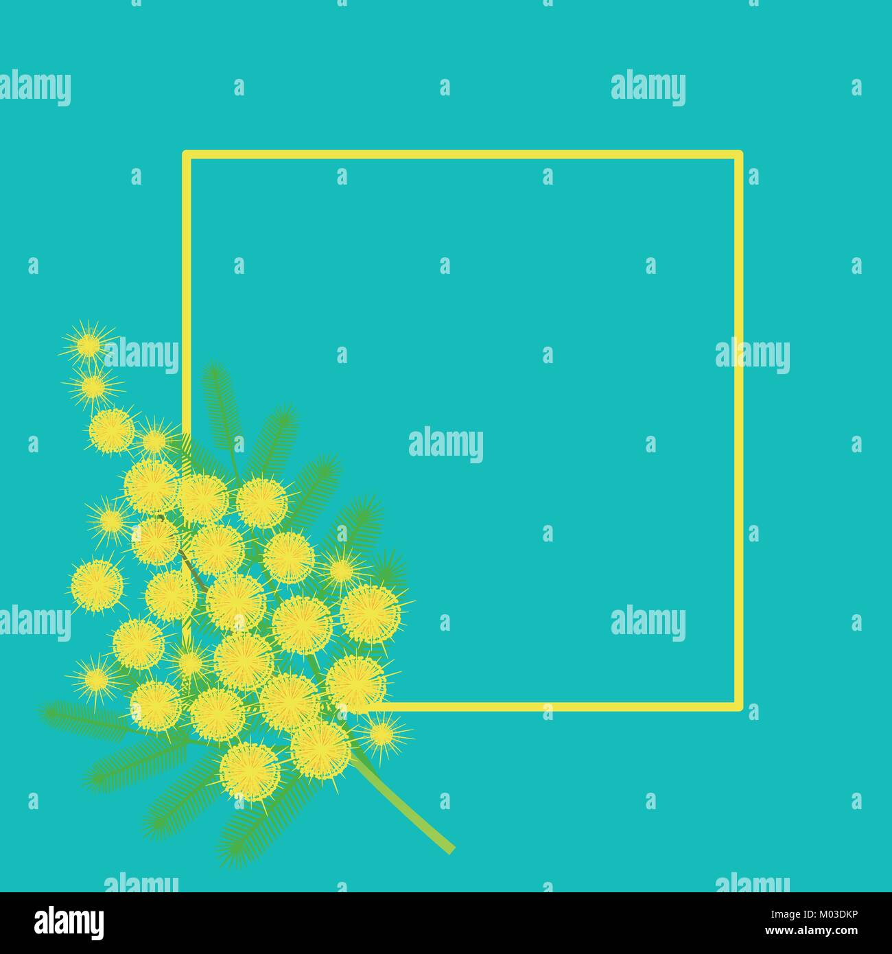 Branch of mimosa and frame. Spring flowers. International Womens Day ...