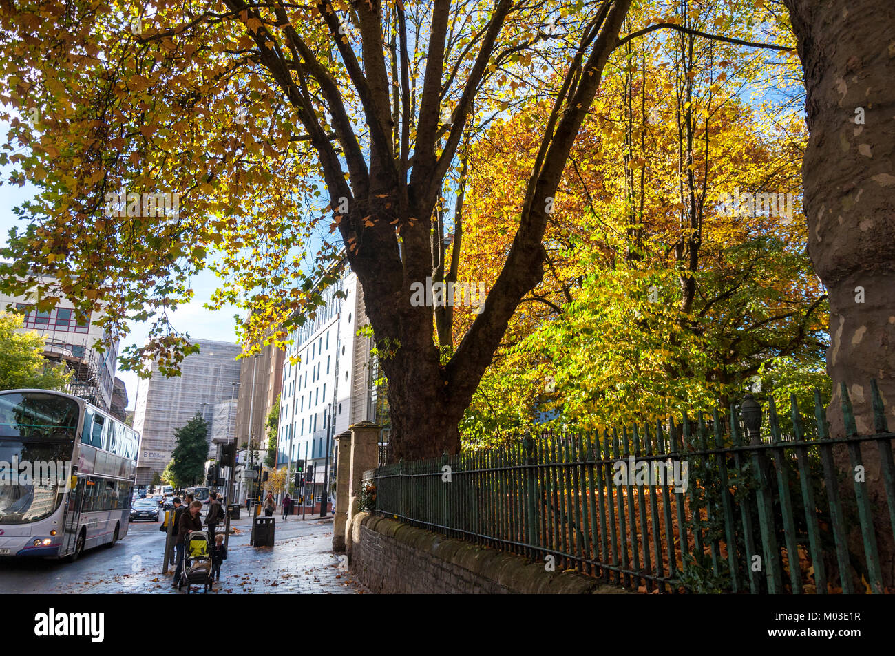 Bristol city centre and St James Park in autumn, UK Stock Photo - Alamy